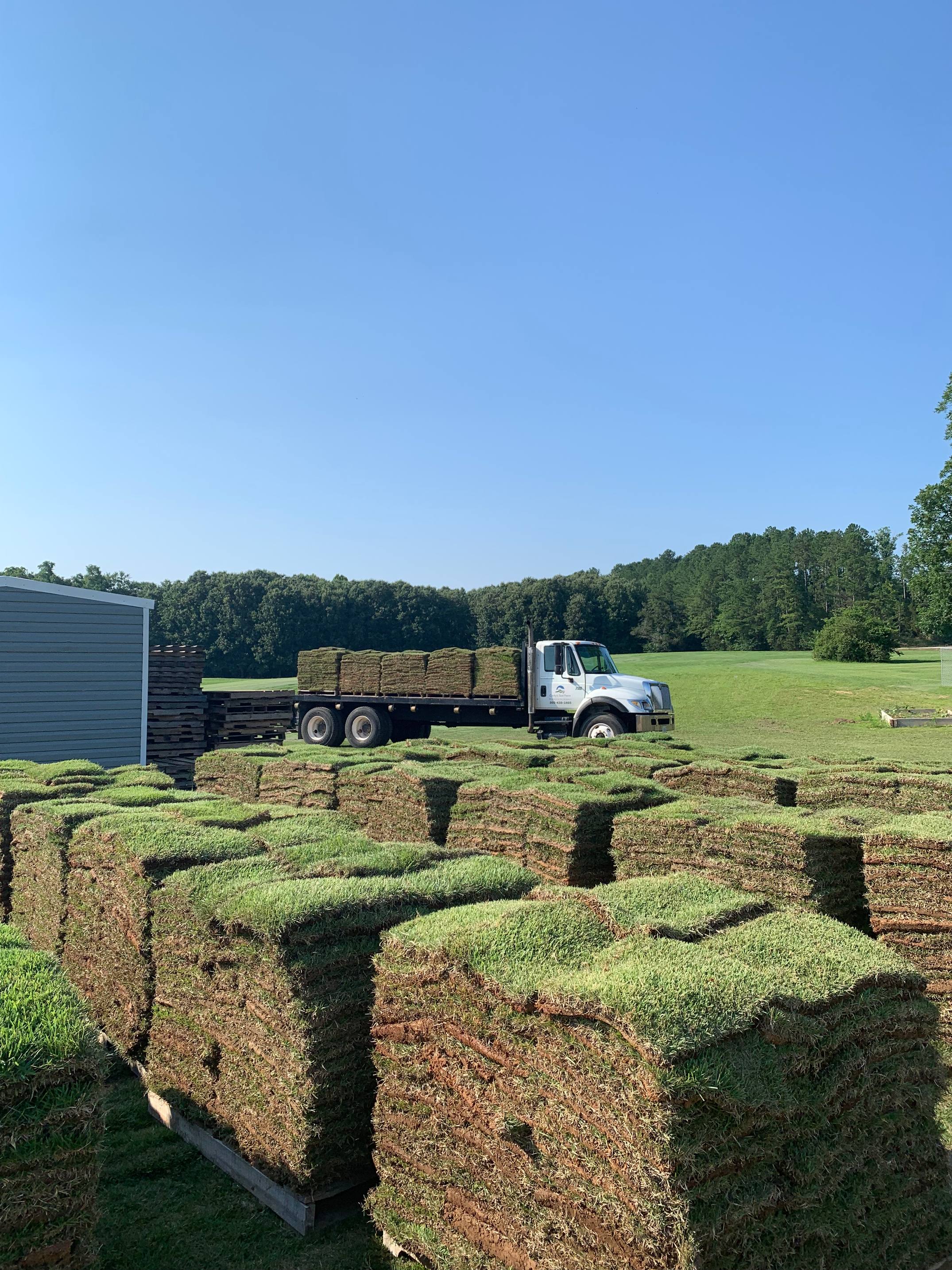 Corky's Sod Farm